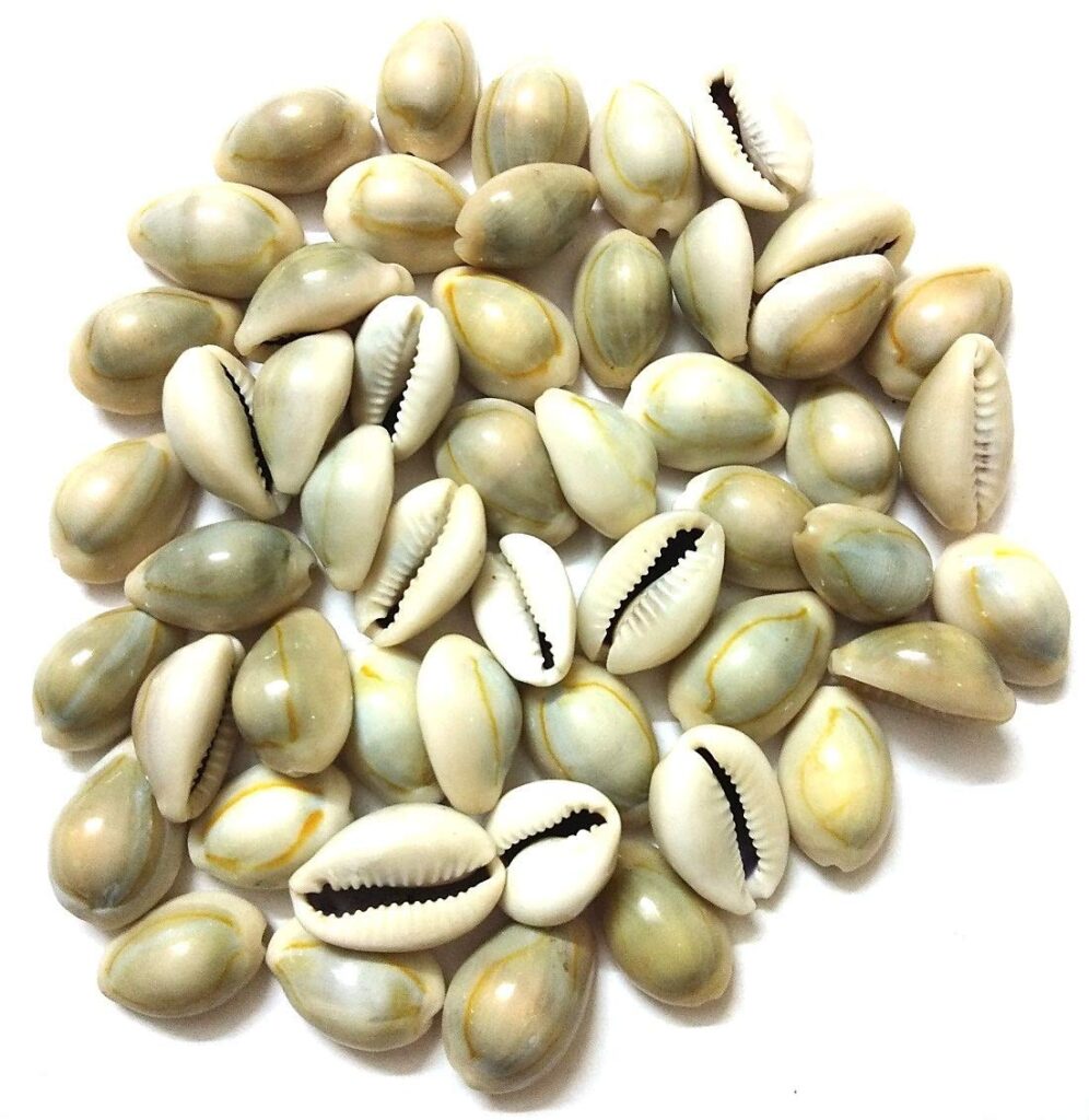 About Us – Cauridor